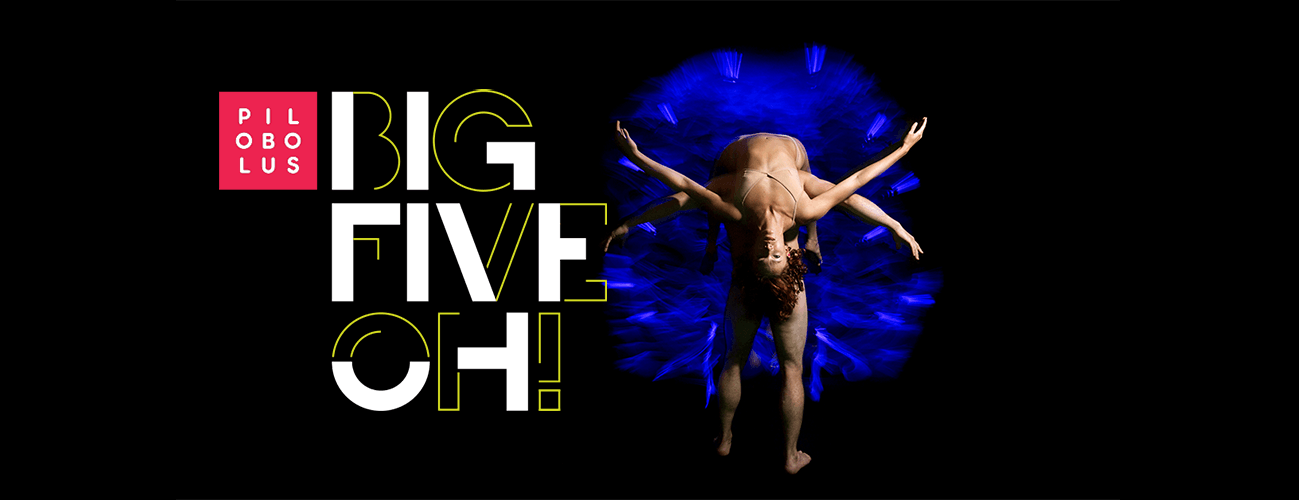 Pilobolus - Pittsburgh | Official Ticket Source | Byham Theater | Sat ...