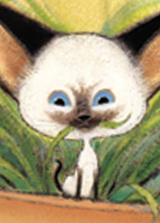 Skippyjon Jones - Pittsburgh | Official Ticket Source | See Event ...