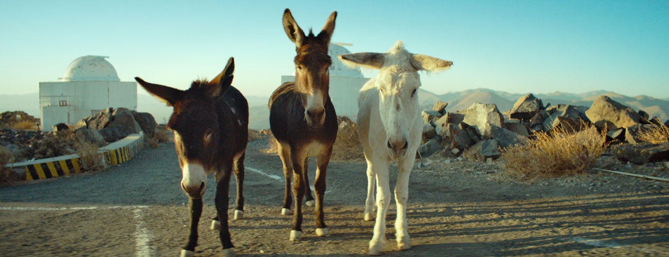 Oscar Nominated Shorts: Documentary - Pittsburgh | Official Ticket ...